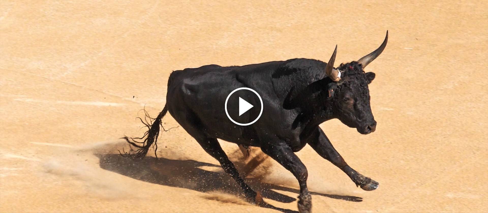 SOLLAU s.r.o. - Magnetic separation